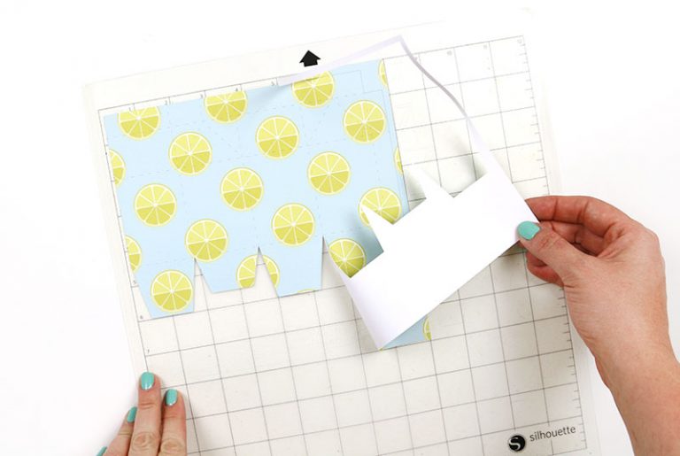 Free Printable Milk Carton Treat Box Template and Cut File - Persia Lou